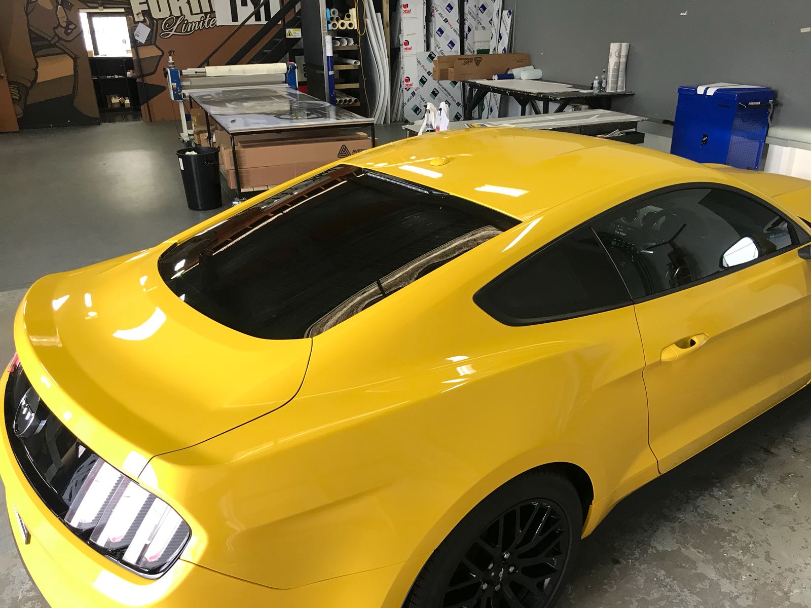 Ford Mustang 2017 - A1 Tinting Ltd | Window Tinting Auckland